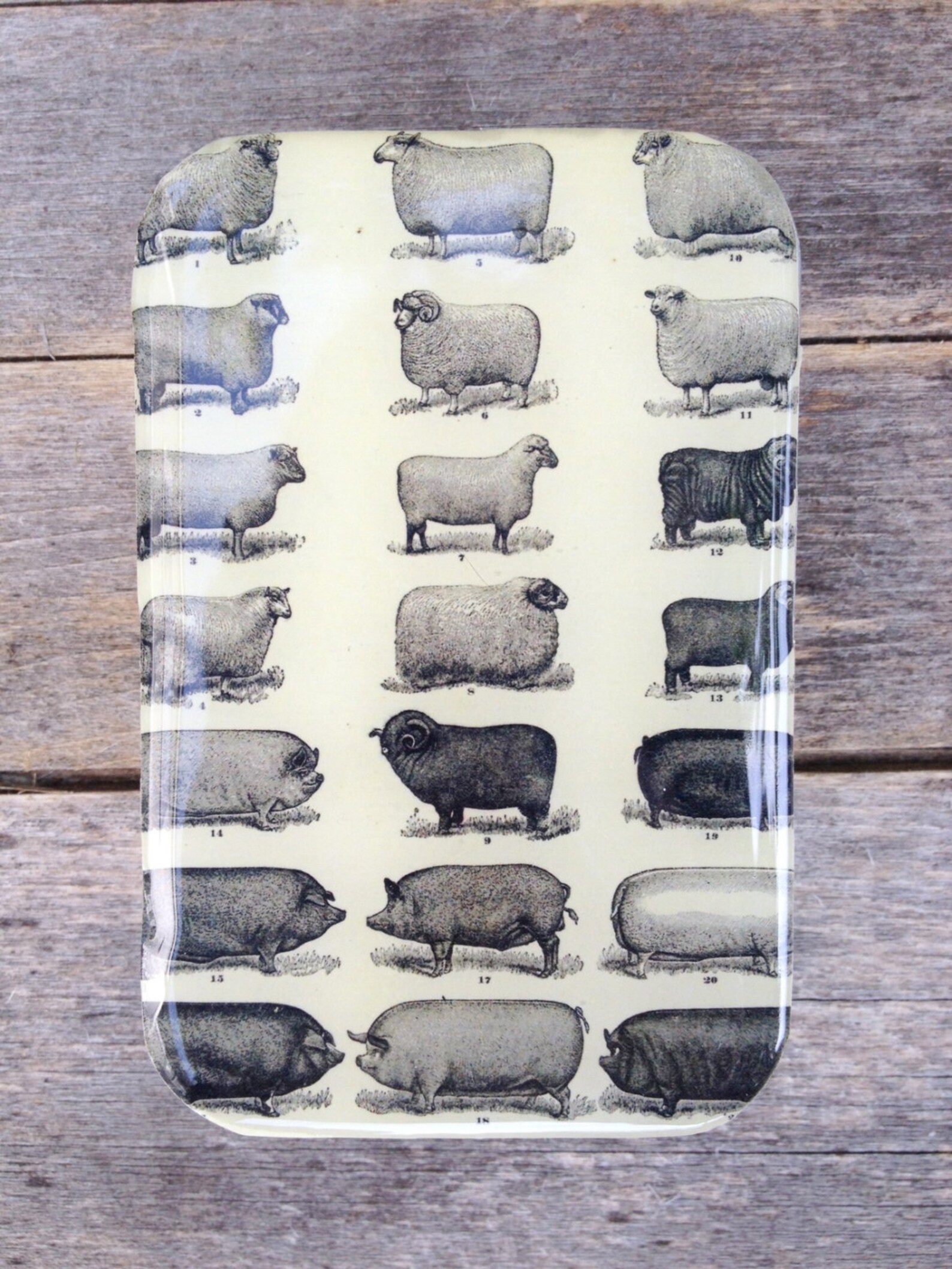 Sheep and Pigs Tin Pill Box Treasure Box 043 | Etsy