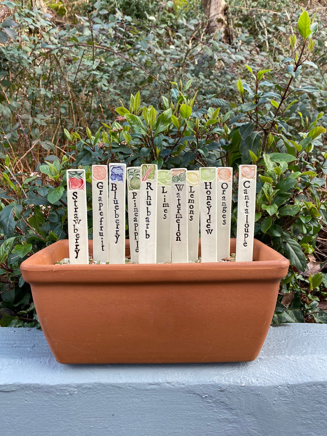 Individual Garden Marker Fruit and Citrus Choices | Etsy