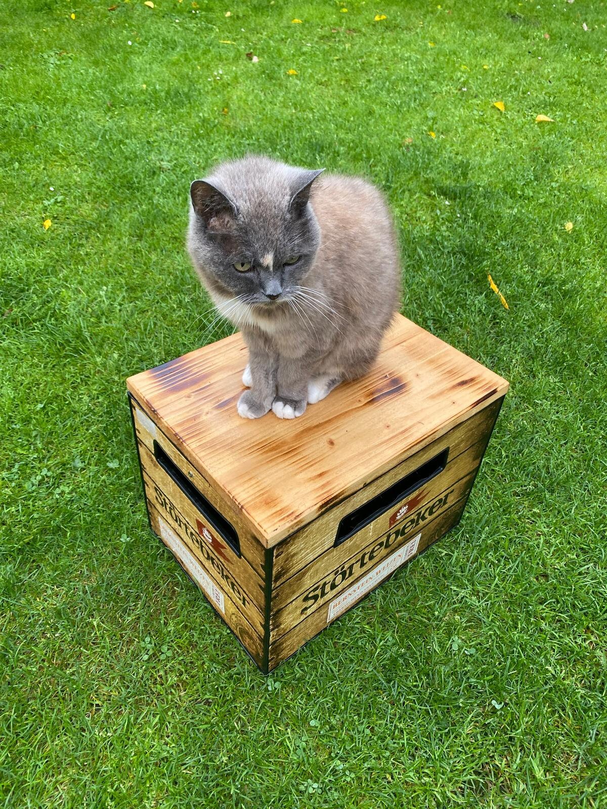 Cool Beer Crate Stool, Beer Crate Stool, Waterproof, Individual ...