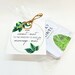 Printable Mint Pioneer Gift Tags, Peppermint Instant Download Favor ...