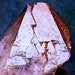 Velvet Jewelry mgambo Seeds / Hua Weleweka Dynamic Sea - Etsy