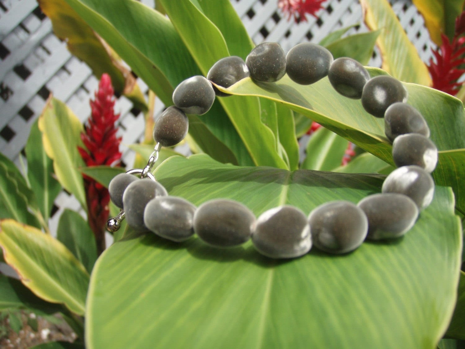 Velvet Seed Bracelet/ Mgambo Seeds / the Original "velvet Vortex ...