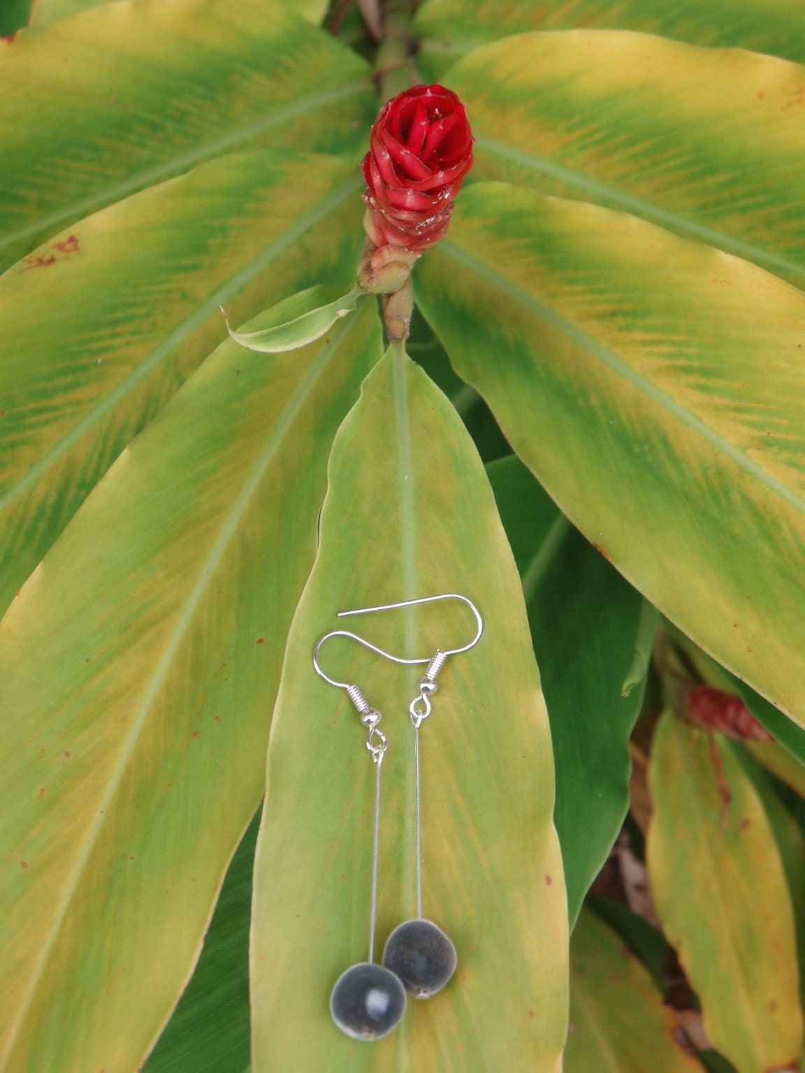 Hua Weleweka (mgambo Seed) Original Dangle Earrings. Smooth, Delicate ...
