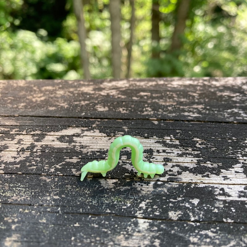 Inchworm - Etsy