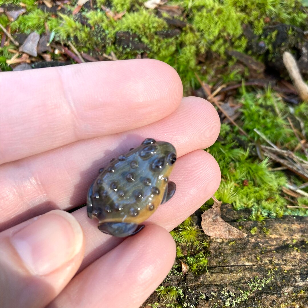 Tiny Glass Toad - Etsy