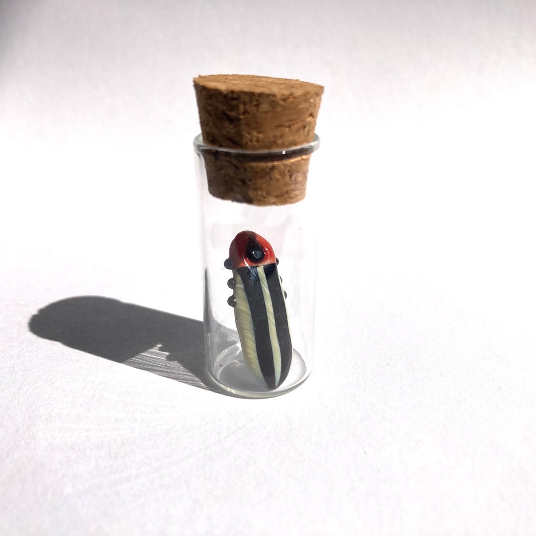 Lightning Bug in a Jar - Etsy