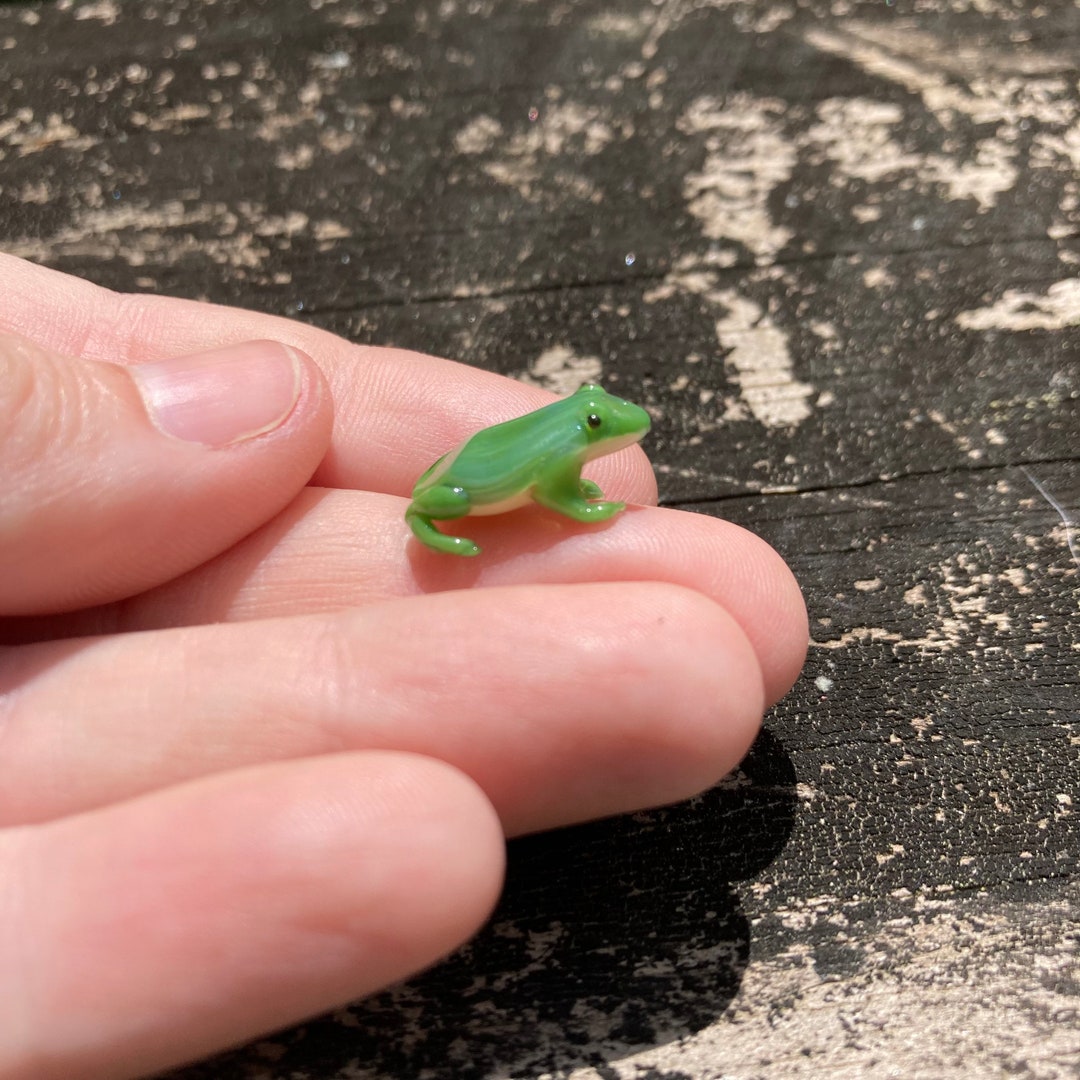 Tiny Glass Frog - Etsy