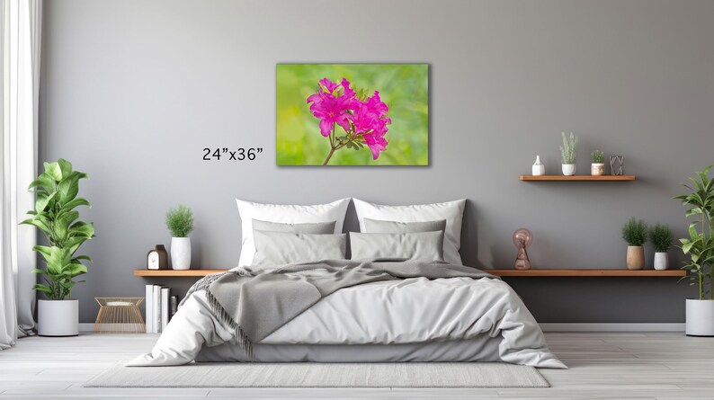 Pink Azalea Flower Photography Print, Botanical Wall Art - Etsy