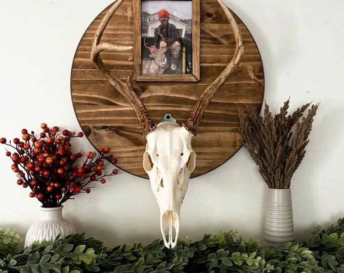 Rustic Skull Mount With Photo Frame: Hunter Gift - Etsy