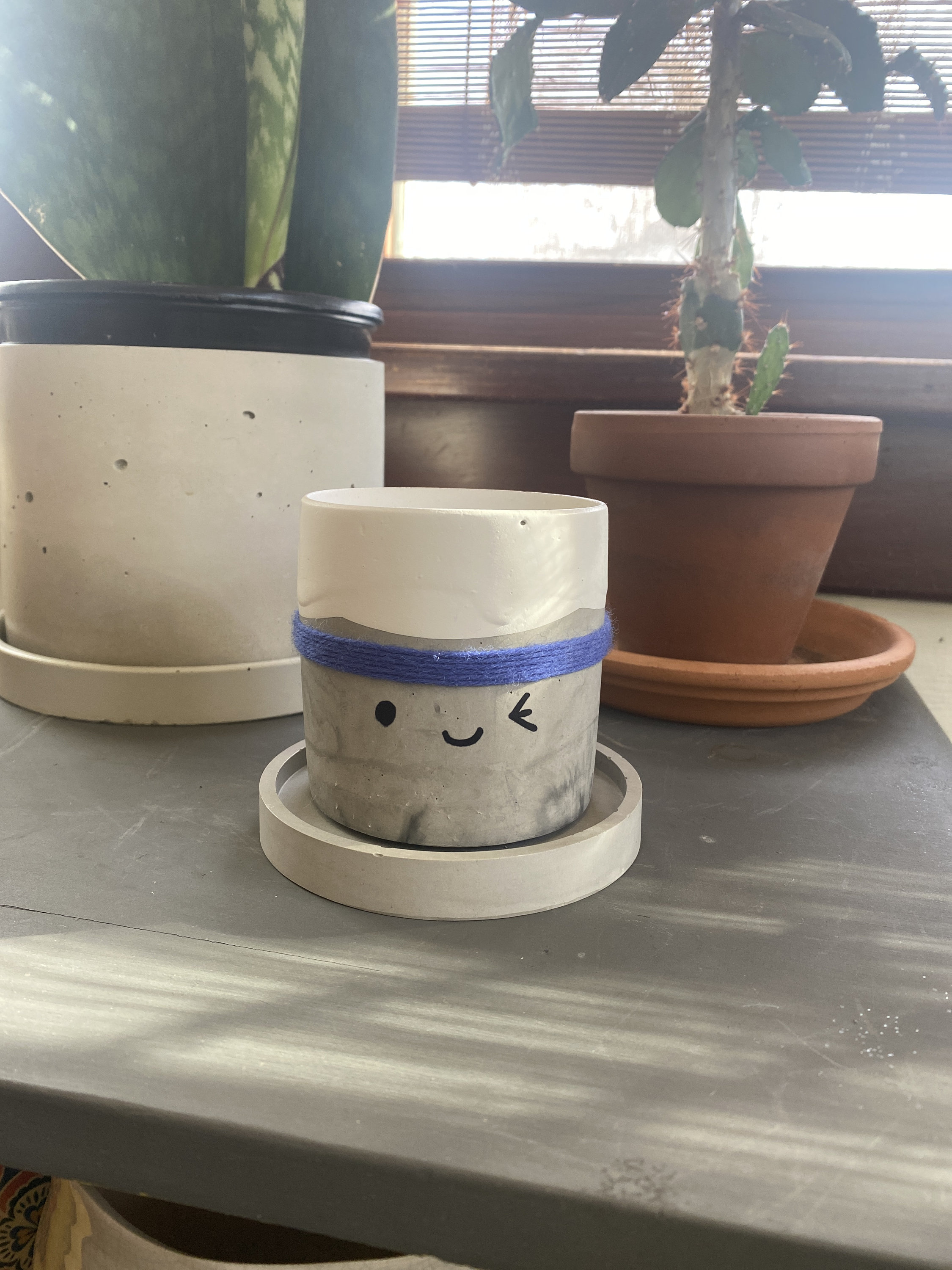 2.5 Circular Flower Pot Friend // Pencil Holder // Yarn Wrapped ...