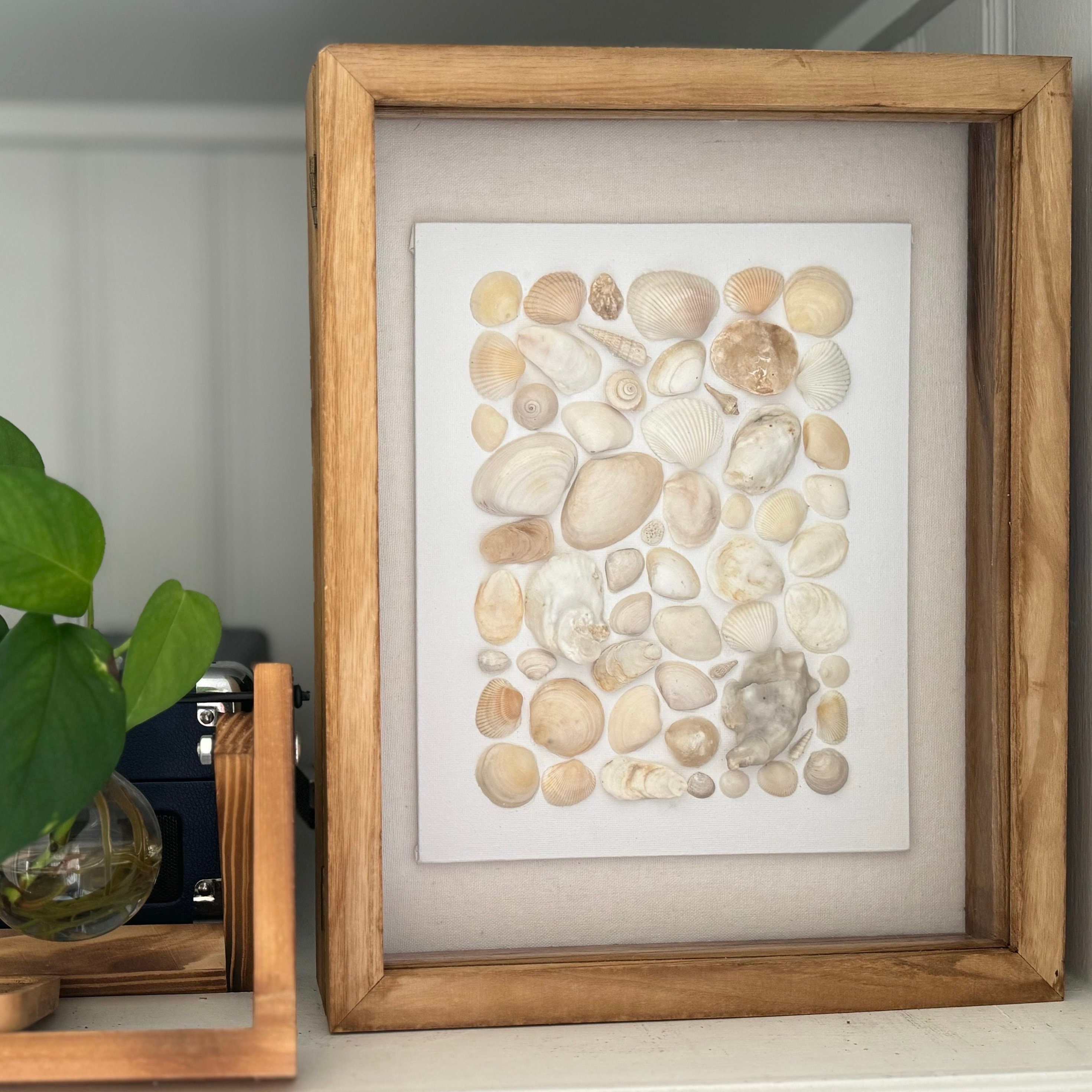 White Rectangular Shell Art Coastal Cottage Wall Decor Handmade on ...