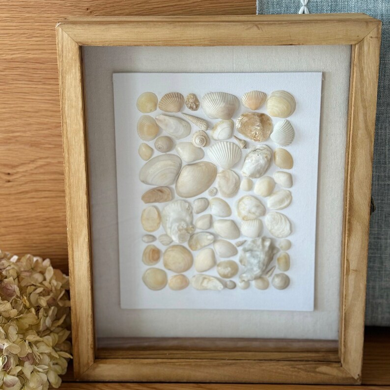White Rectangular Shell Art Coastal Cottage Wall Decor Handmade on ...