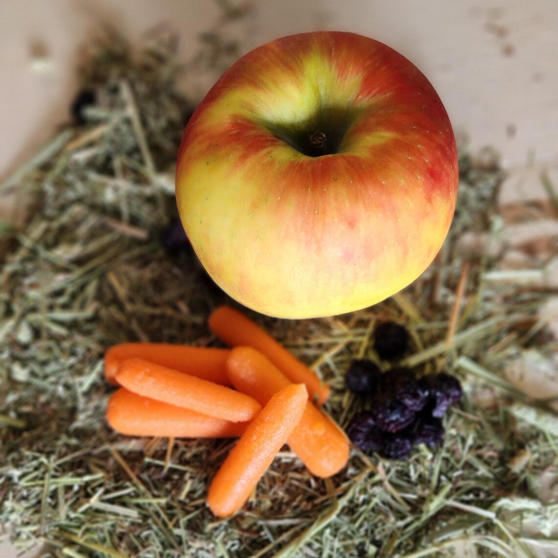 Kibble Booster| Perfect Veggie/hay Topper for Guinea Pig, Hamster ...
