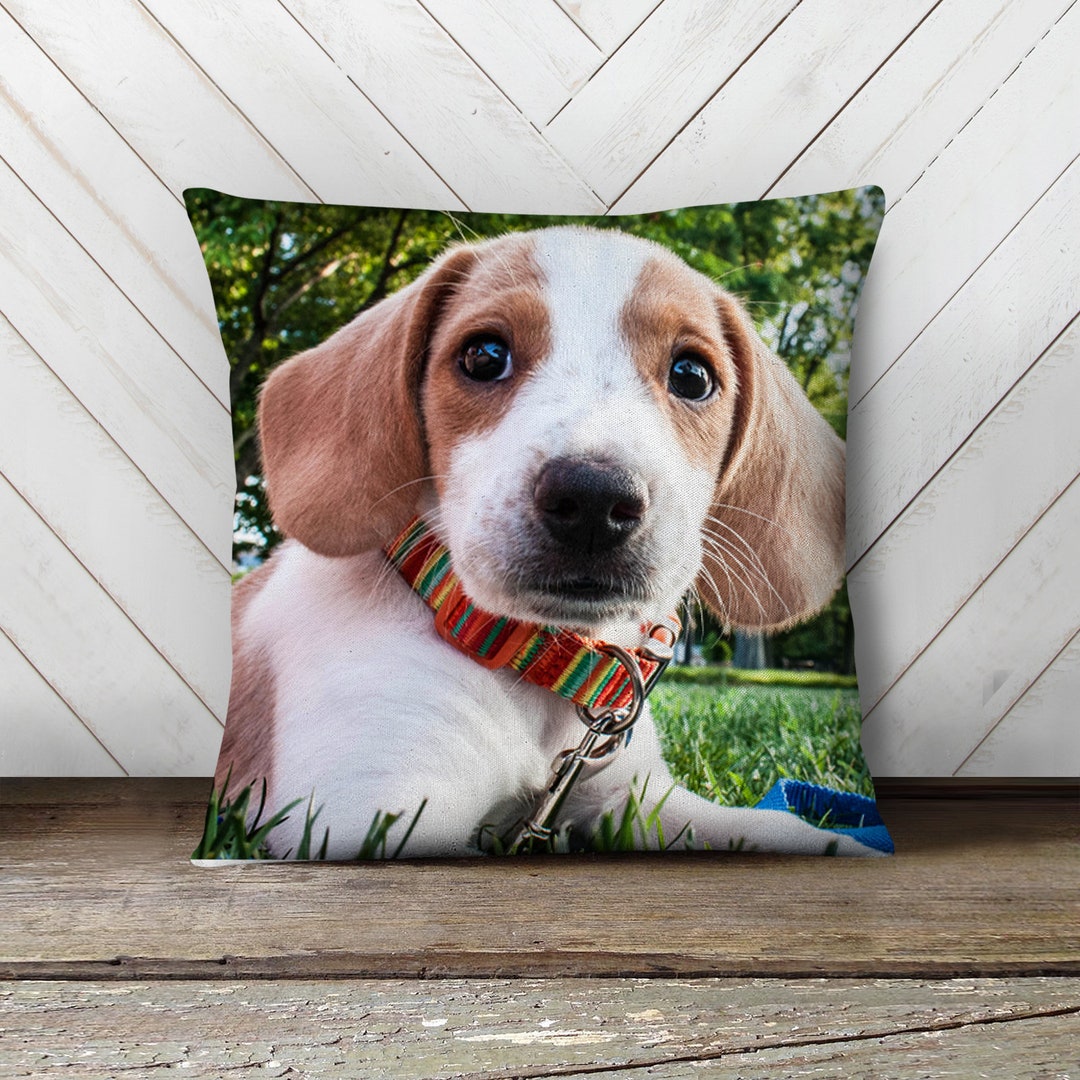 Personalized Pet Photo Pillow | Pet Throw Pillow | Add Pet's Name | Pet ...