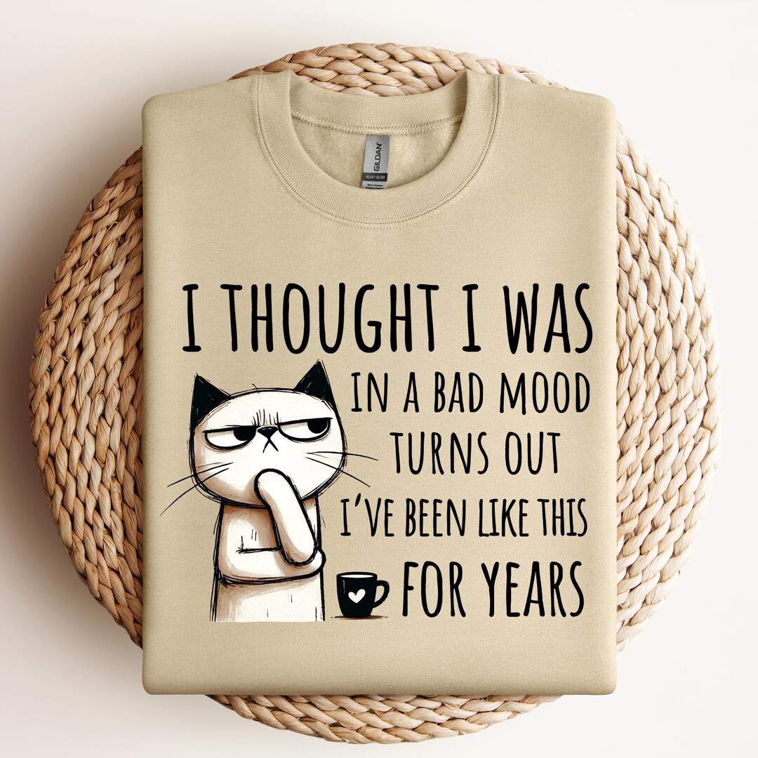 Funny Cat Sweatshirt, Grumpy Cat, Bad Mood, Cat Lover Gift, Sarcastic ...