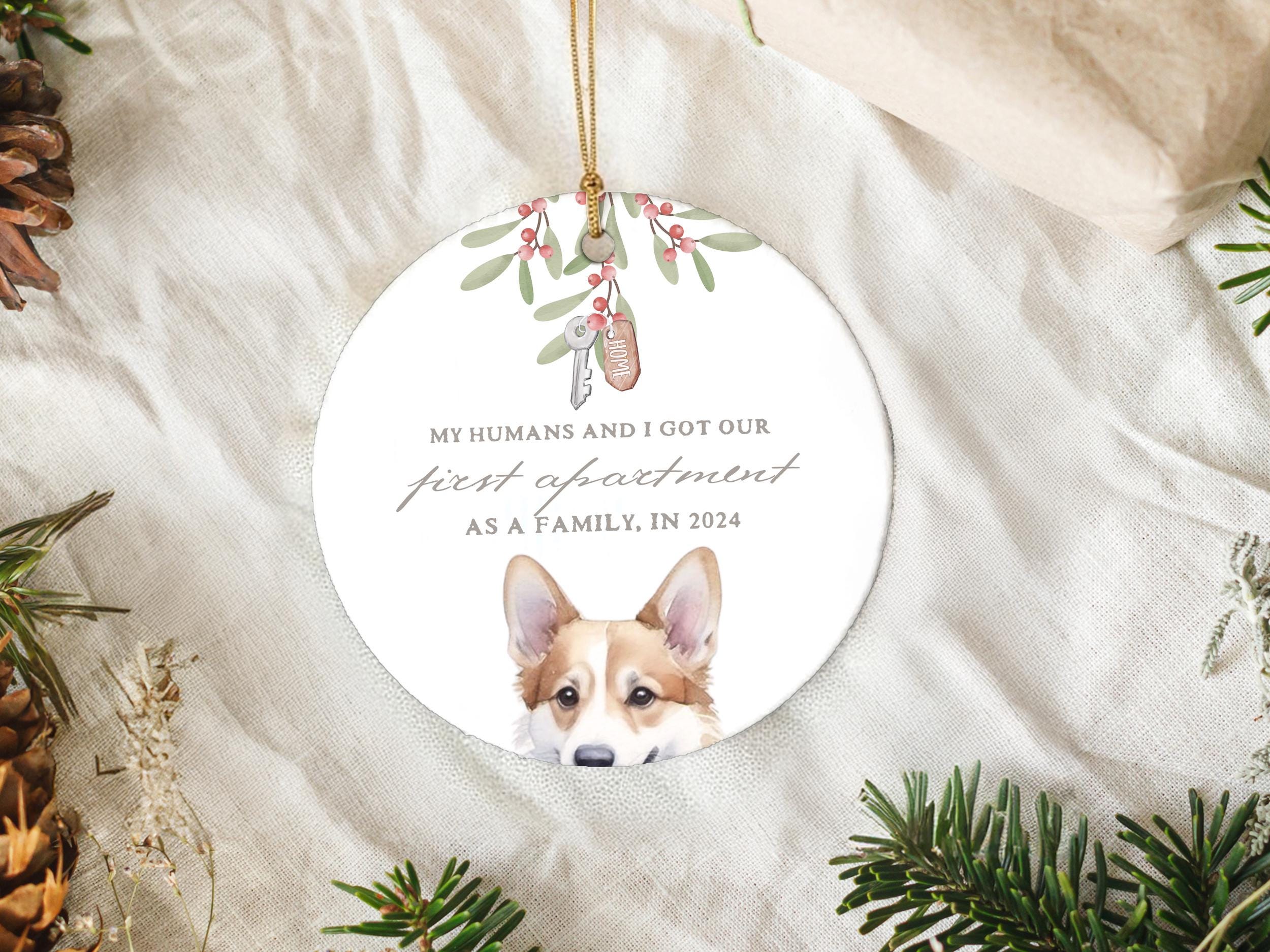 Our First Apartment Personalized Christmas Ornament With Dog, New Home ...