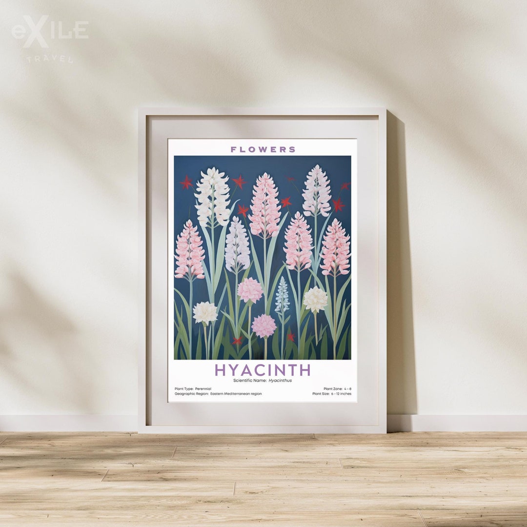 Flower Market Hyacinth Print, Modern Abstract Floral Prints, Flower ...