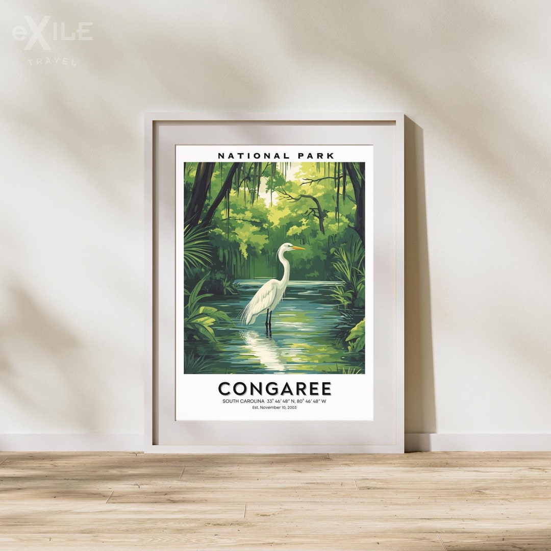 Congaree National Park Travel Poster, Congaree Travel Print, USA Art ...