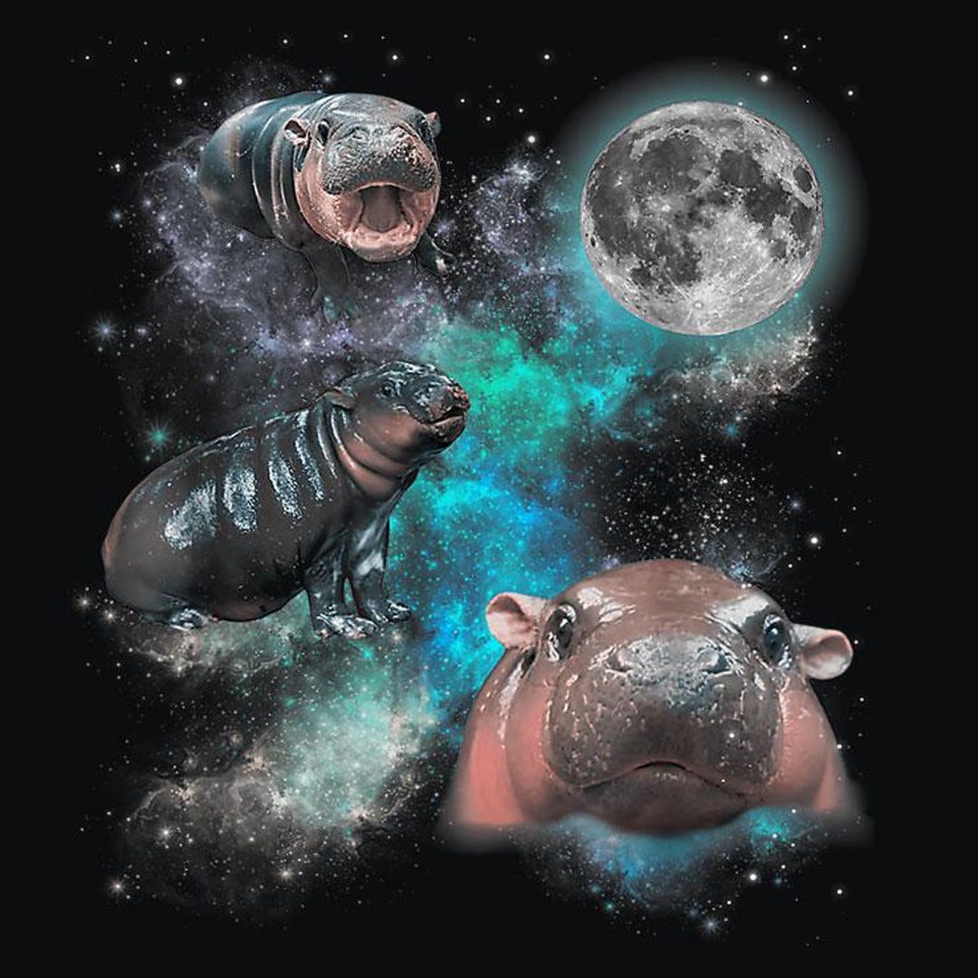 Moo Deng Moon Night Png - Etsy