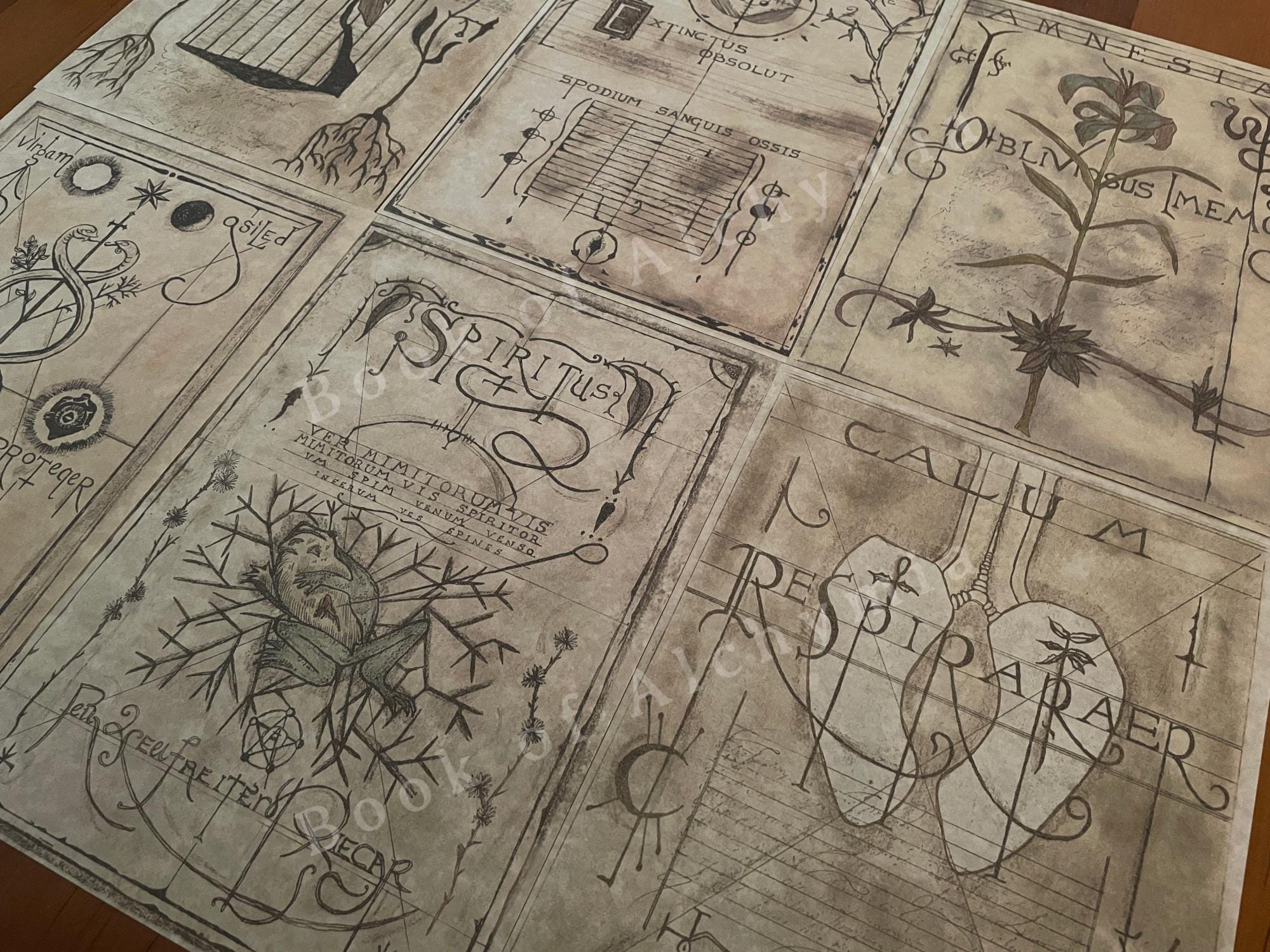 Practical Magic Spellbook Replica Pages Vol I ~ for Book of Shadows ...