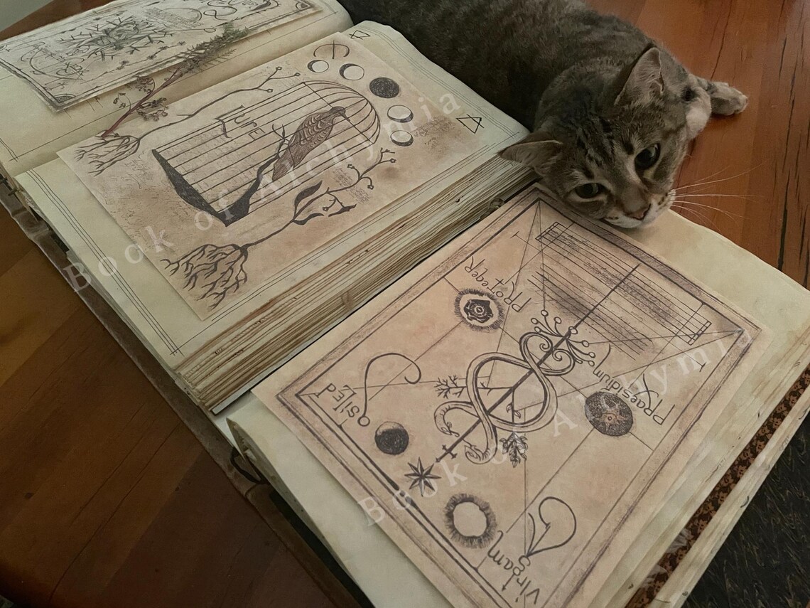 Practical Magic Spellbook Replica Pages Vol I ~ for Book of Shadows ...