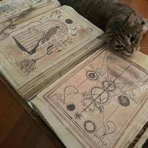 Practical Magic Spellbook Replica Pages Vol I ~ for Book of Shadows ...