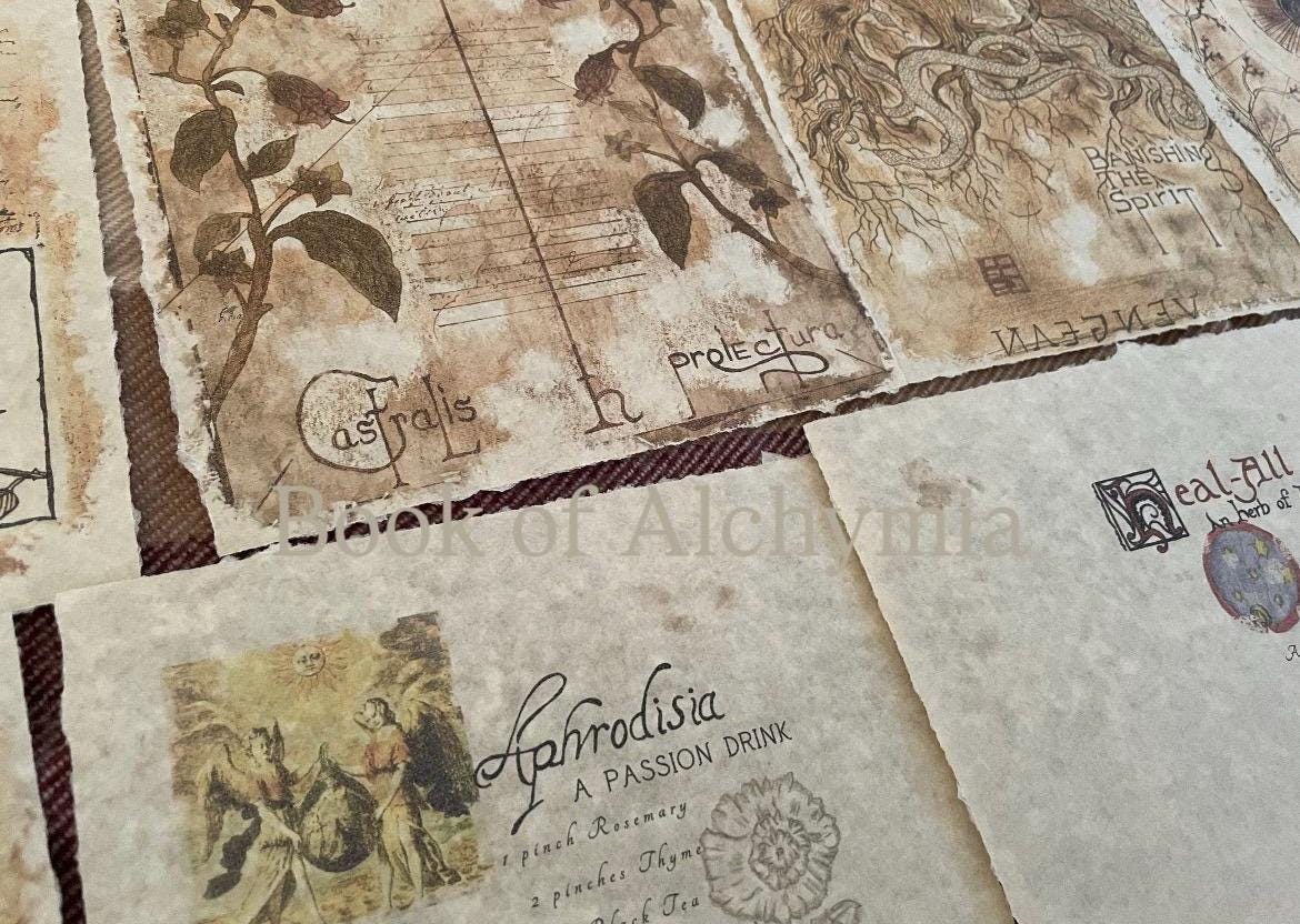 Practical Magic Spellbook Replica Pages, Volumes I-III, Book of Shadows ...
