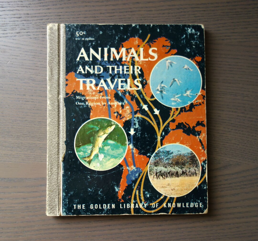 Vintage 1959 Children's Book: Animals and Their Travels - Etsy