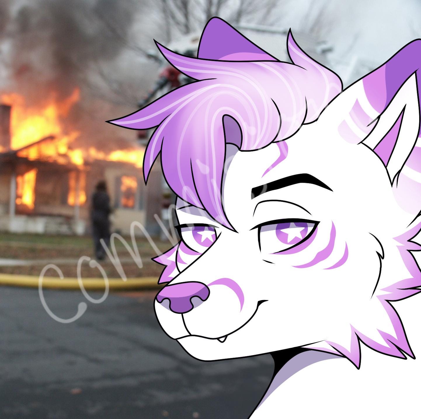 Custom Furry Art -- Fursona Commission Slots - Etsy