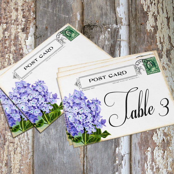 Hydrangea Postcard - Etsy