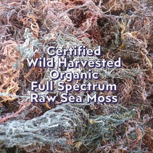 Wild Crafted Irish Moss - Etsy