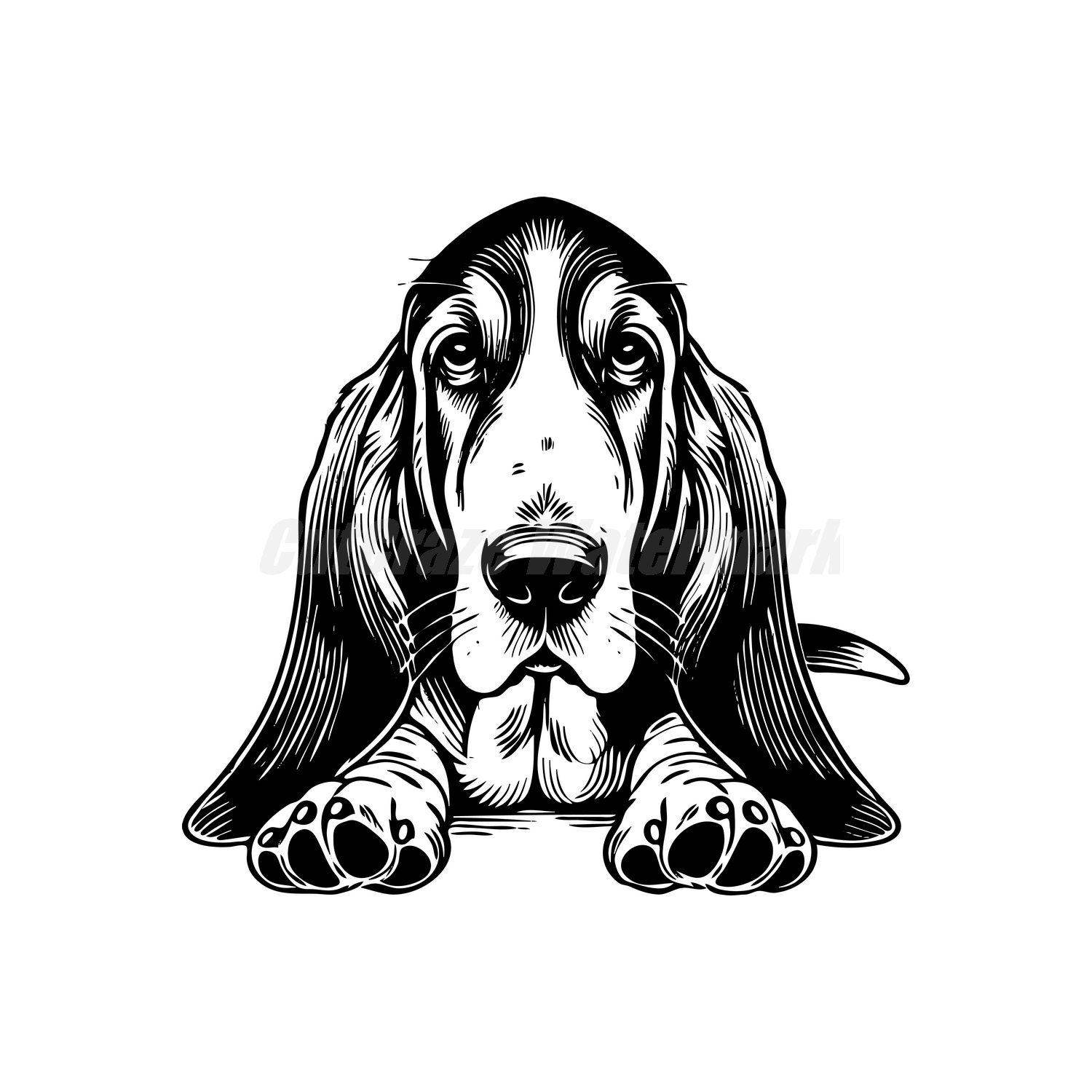 Cute Peeking Basset Hound Dog Svg Dxf and Png Files - Instant Digital ...