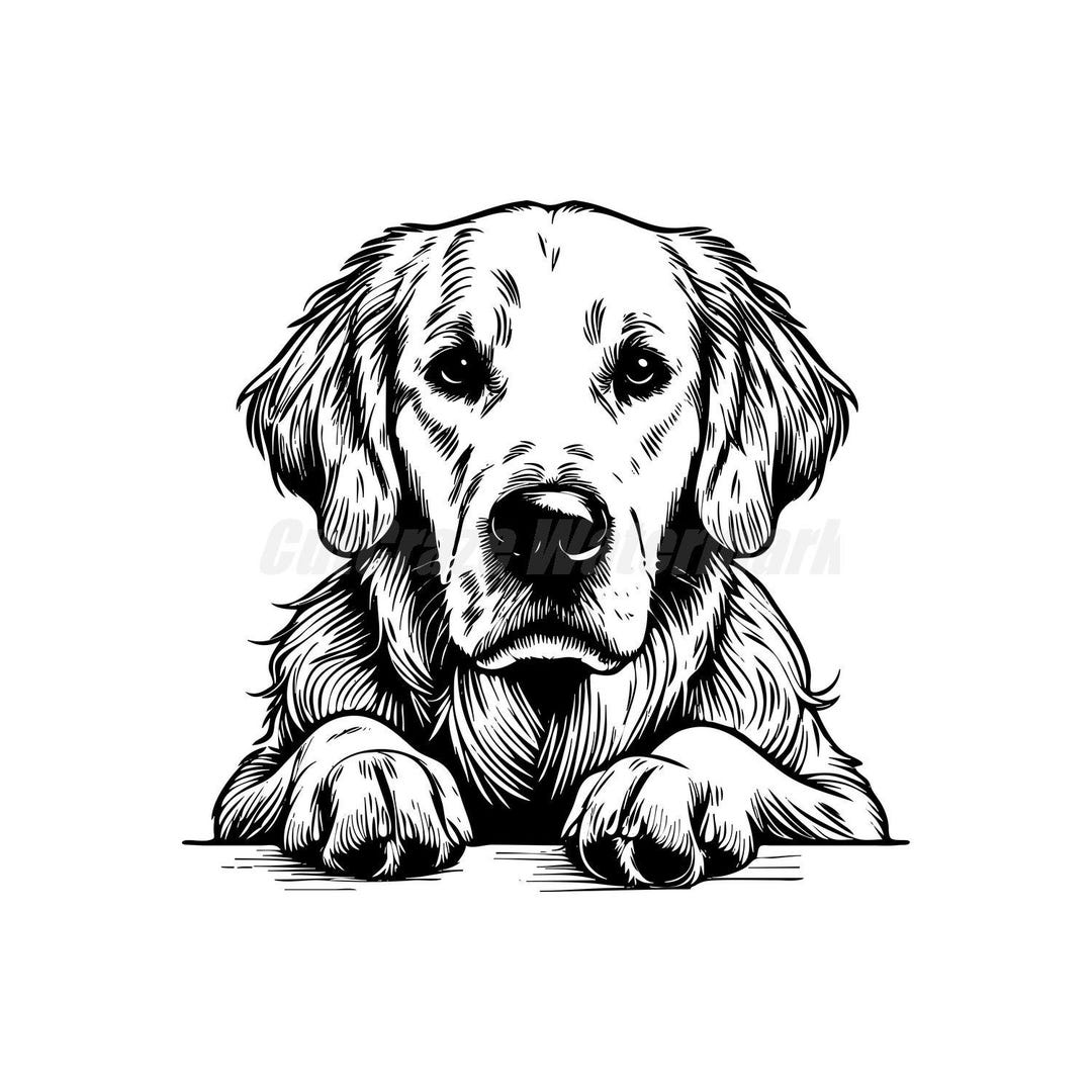 Peeking Pose Golden Retriever Svg Dxf and Png Files - Instant Digital ...