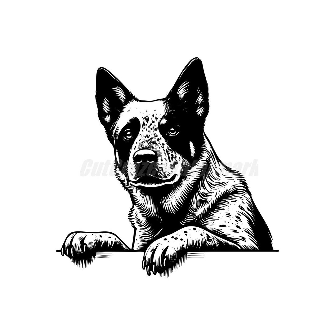 Peeking Cute Pose Australian Cattle Dog Pose Svg Dxf and Png Files ...