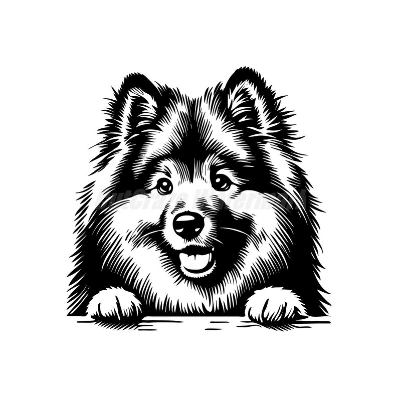 Cute Peeking Pose Keeshond Svg Dxf and Png Files Instant Digital ...