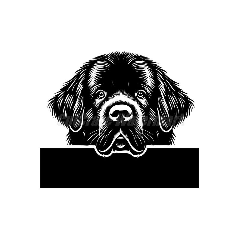 Cute Little Newfoundland Svg Dxf and Png Files - Instant Digital ...