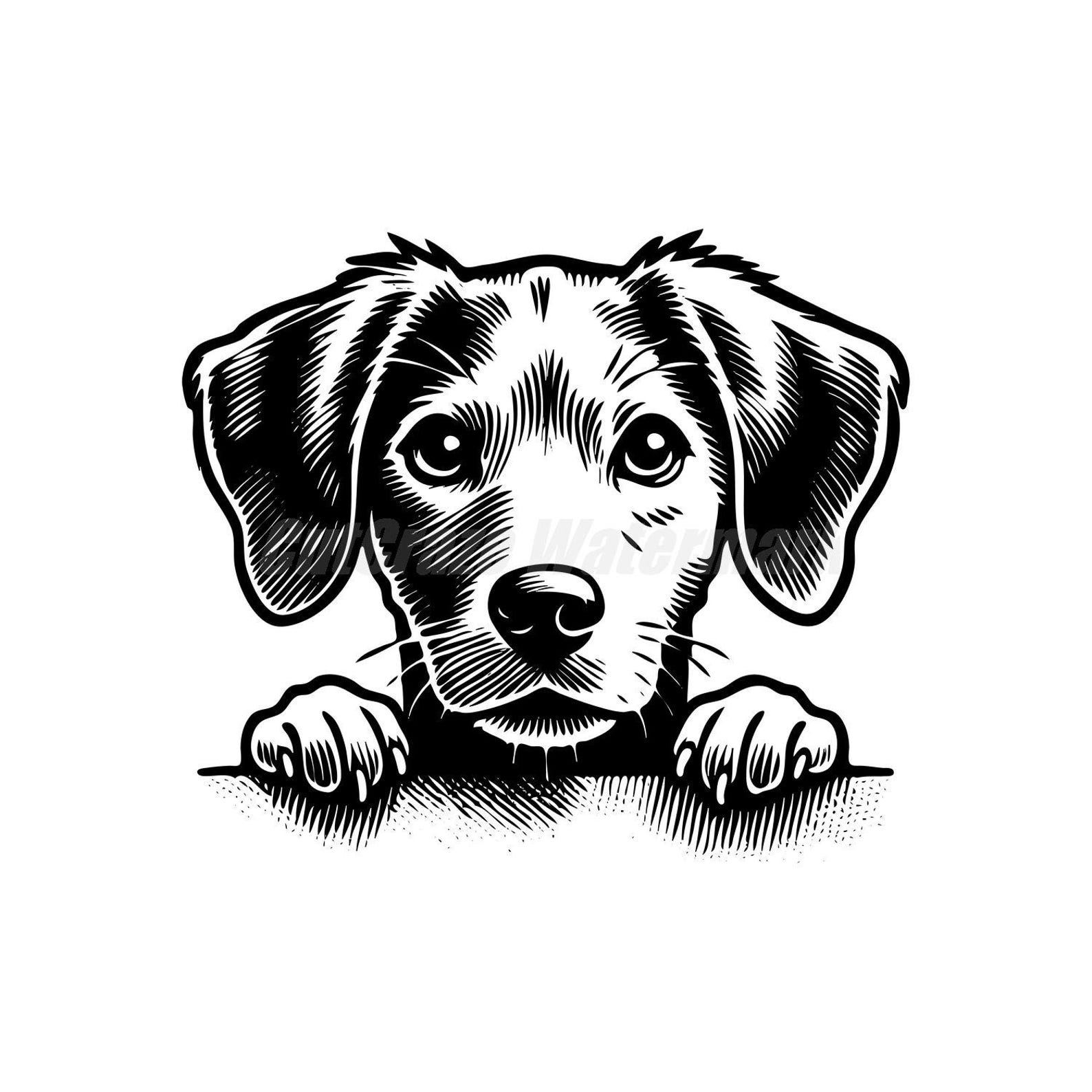 Cute Peeking Pose Harrier Svg Dxf and Png Files - Instant Digital ...