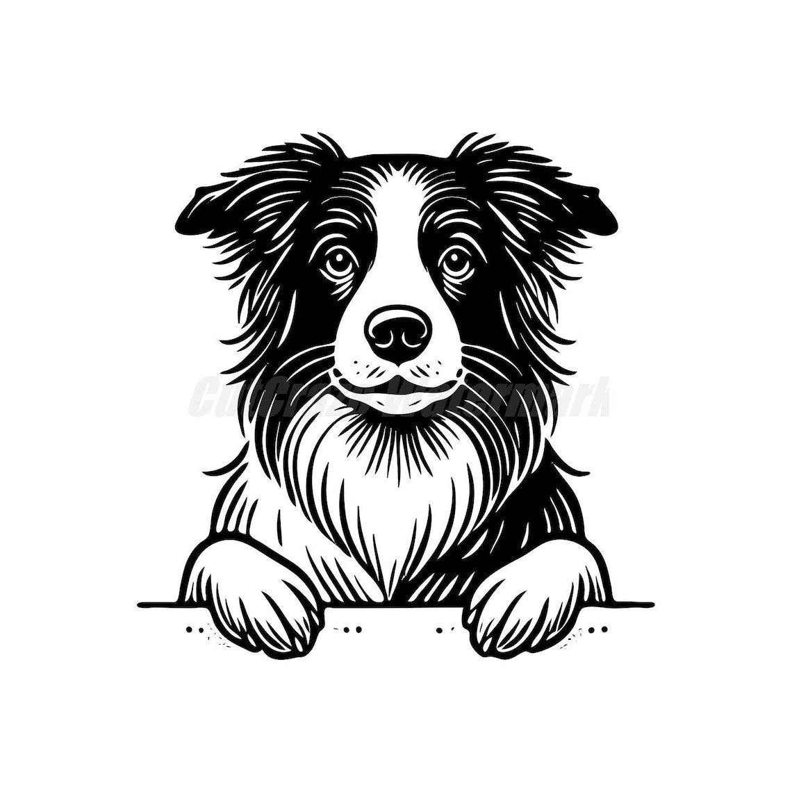 Peeking Pose Border Collie Dog Svg Dxf and Png Files - Instant Digital ...