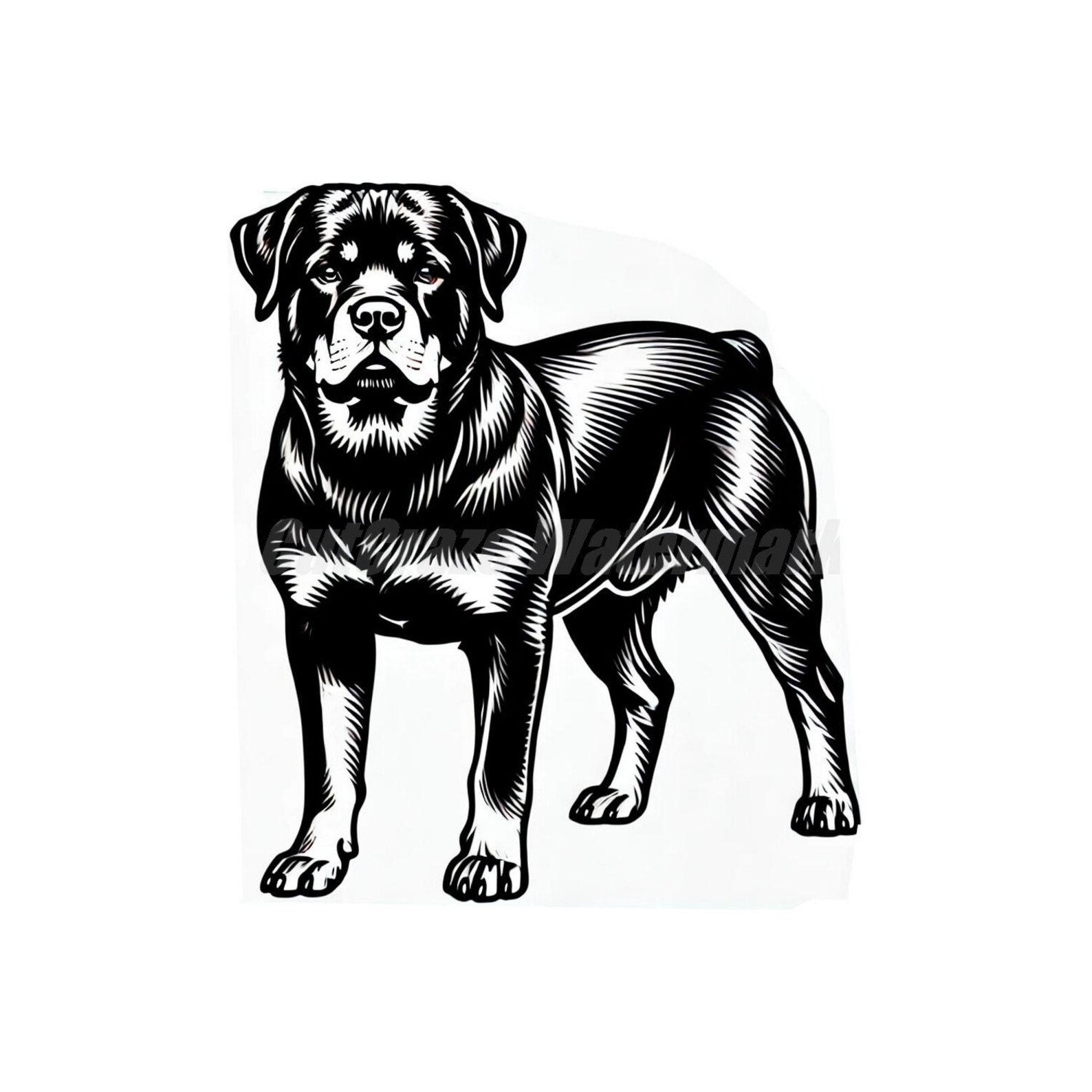 Rottweiler Rottie Dog Pet Lover Svg Dxf and Png Files Instant Digital ...