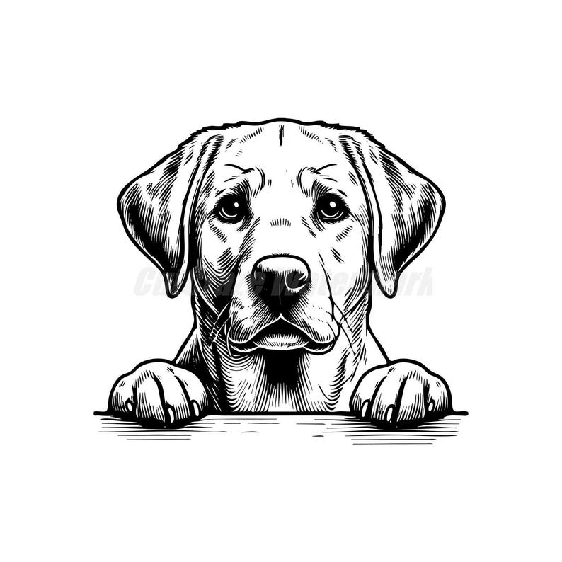 Labrador Retriever Dog in a Peeking Pose Svg Dxf and Png Files ...