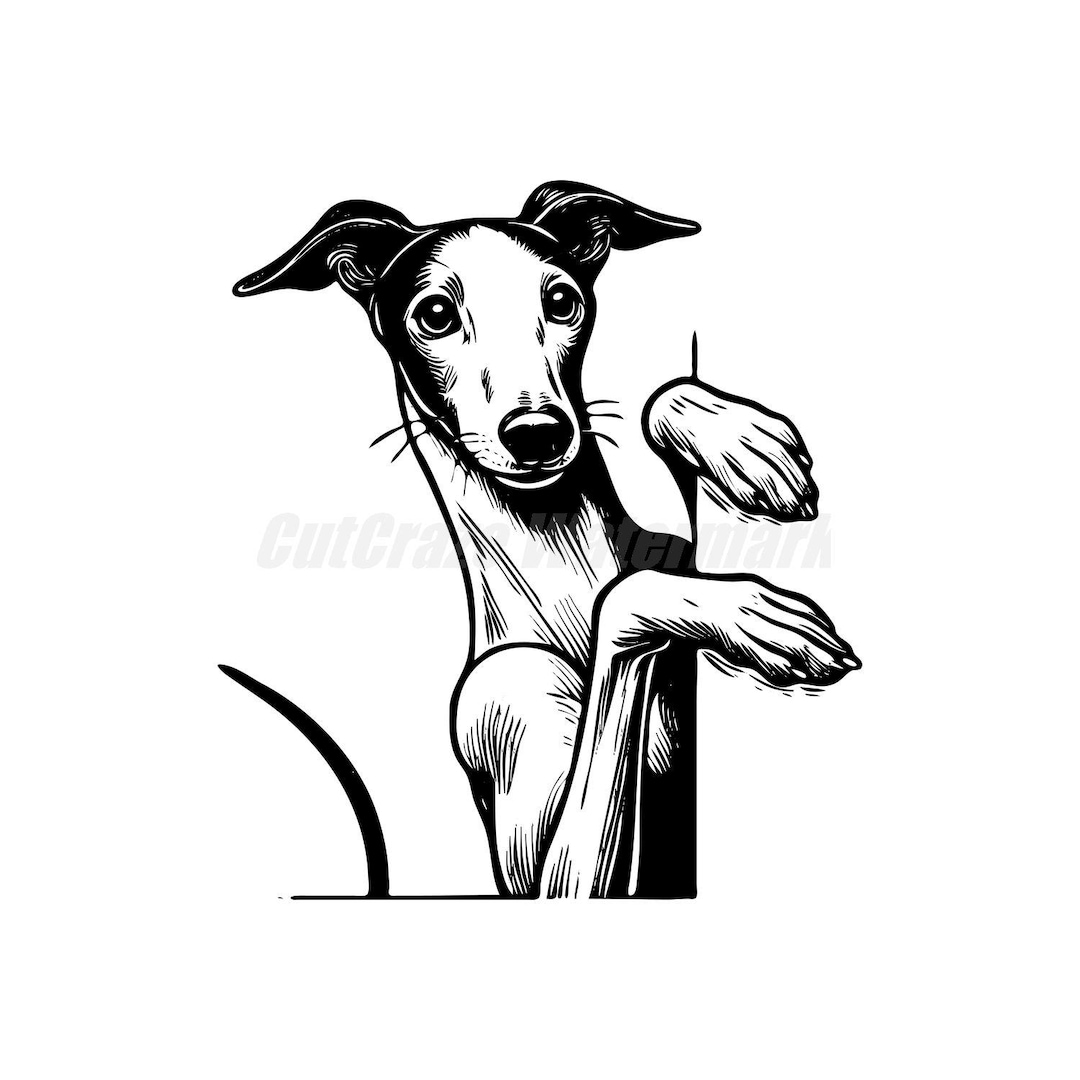 Peeking Pose Greyhound Dog in a Peeking Svg Dxf and Png Files - Instant ...