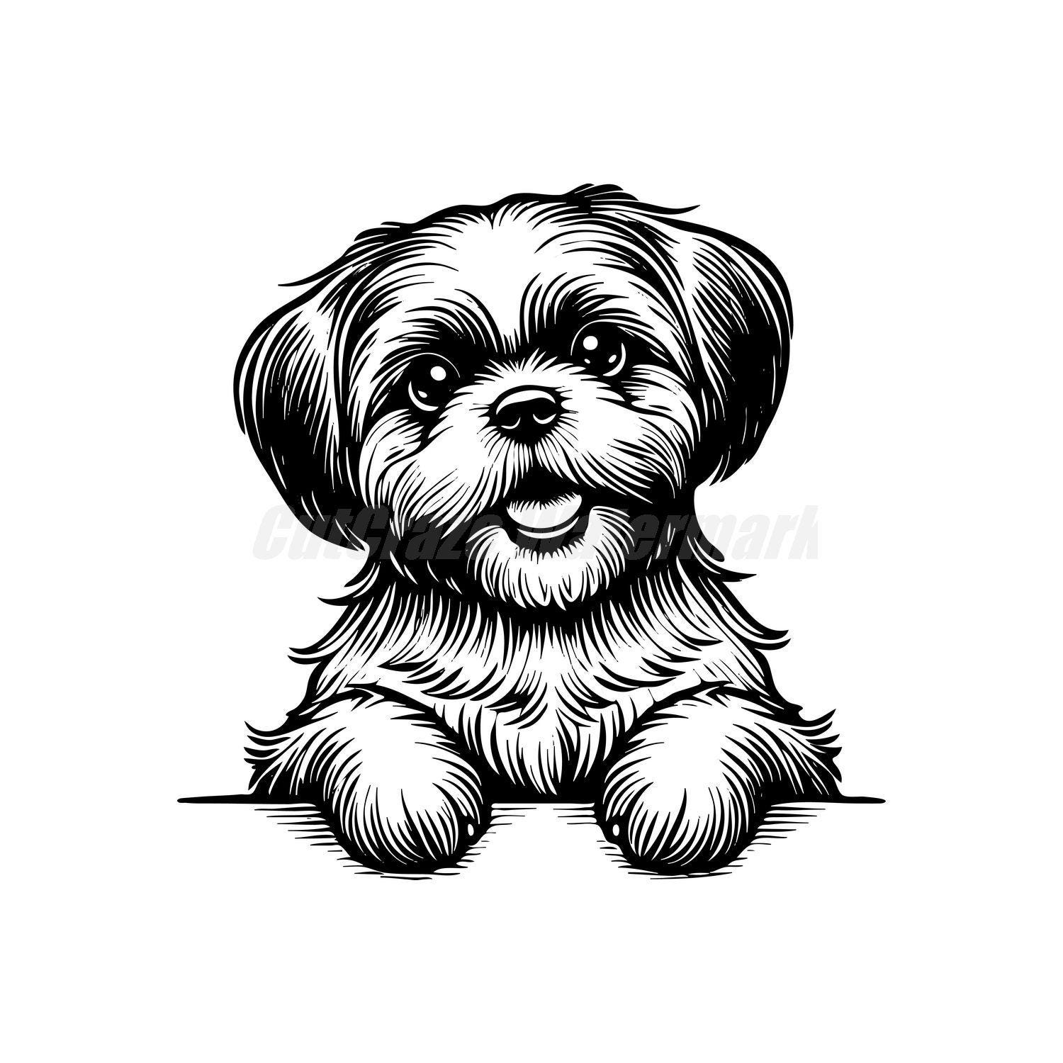 Peeking Pose Shih Tzu Svg Dxf and Png Files - Instant Digital Downloads ...