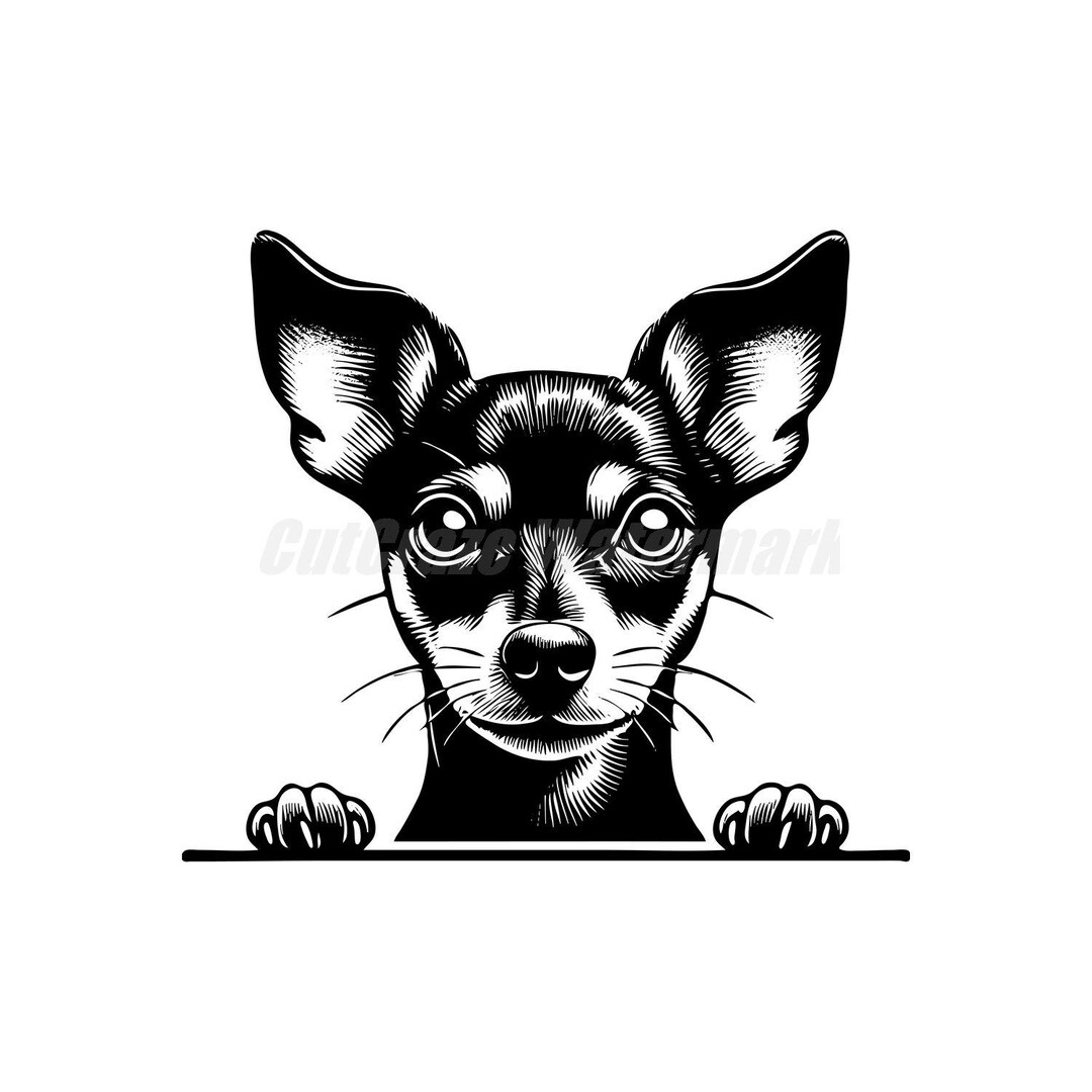 Cute Little Miniature Pinscher Svg Dxf and Png Files - Instant Digital ...