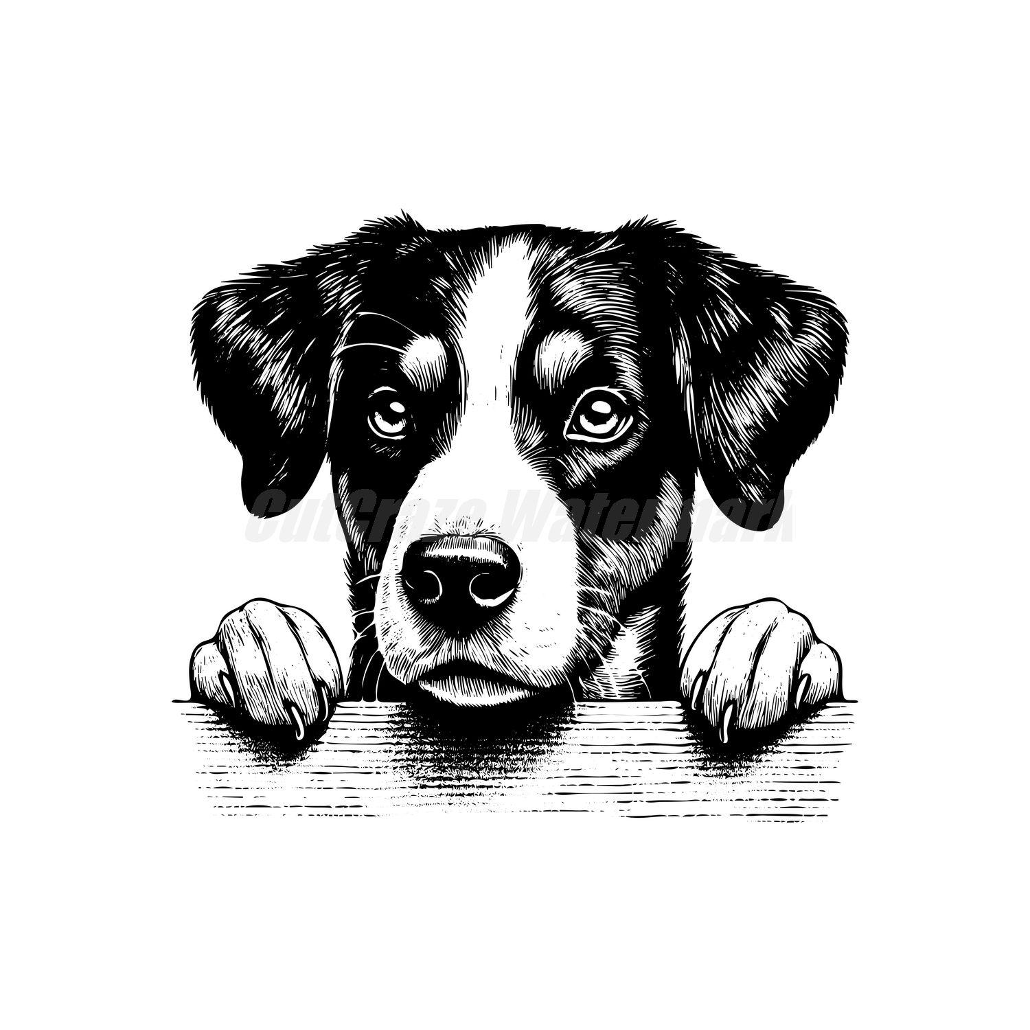 Peeking Pose Appenzeller Sennenhund in Svg Dxf and Png Files - Instant ...