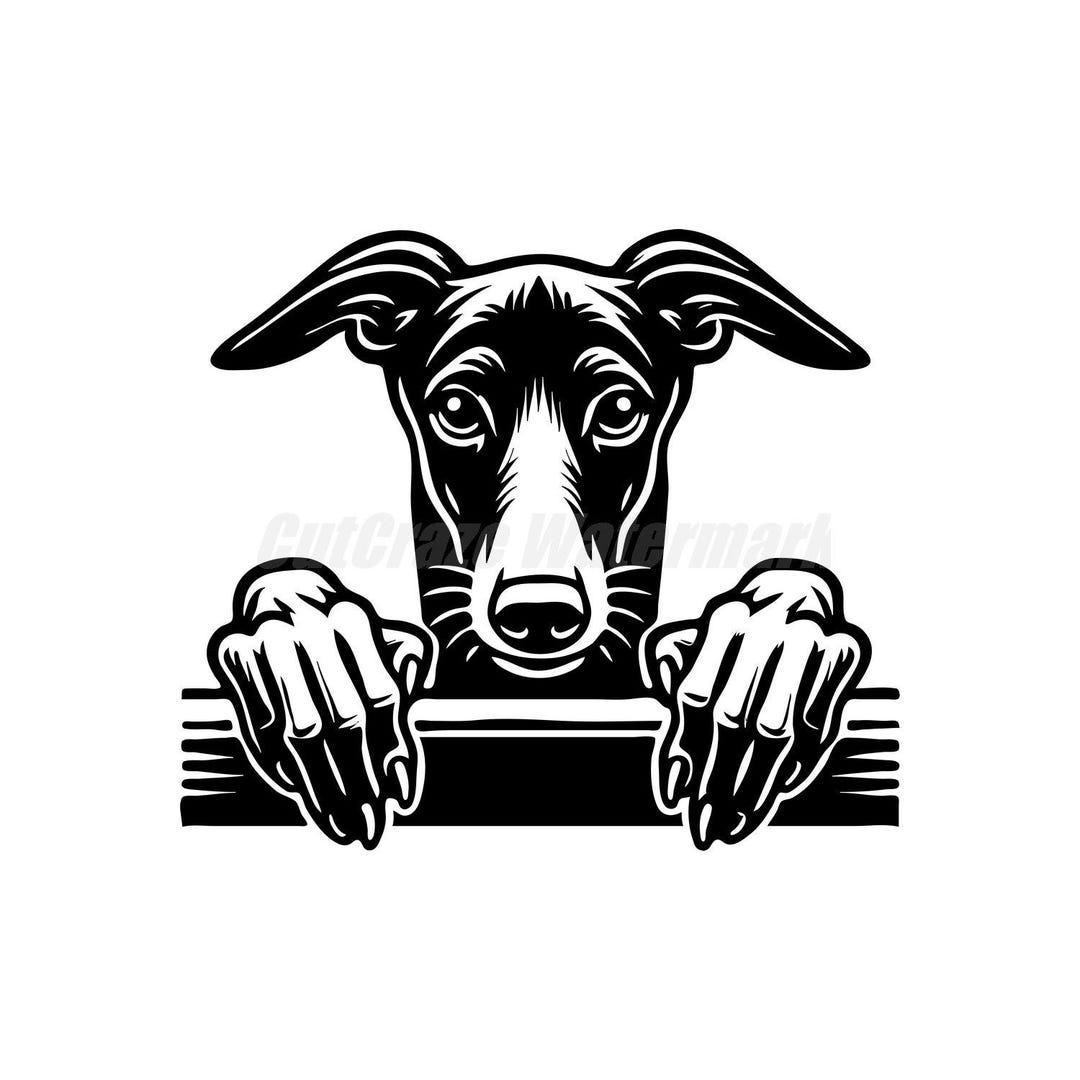 Peeking Pose Greyhound Svg Dxf and Png Files - Instant Digital ...