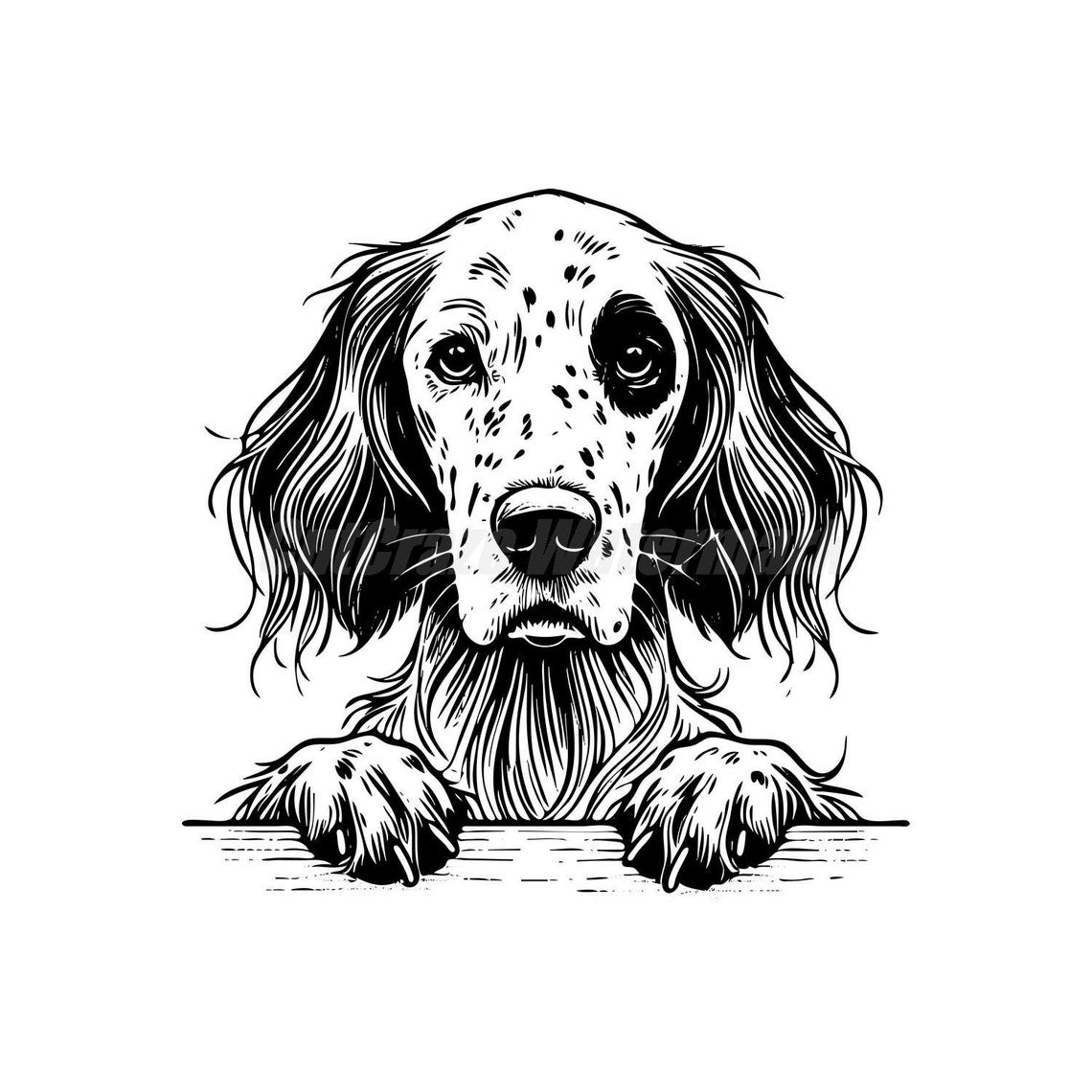 Peeking Pose English Setter Dog Svg Dxf and Png Files - Instant Digital ...