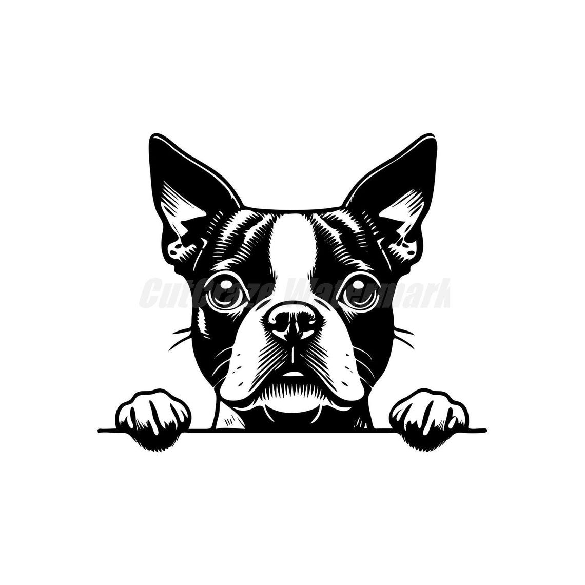 Peeking Pose Boston Terrier Svg Dxf and Png Files - Instant Digital ...