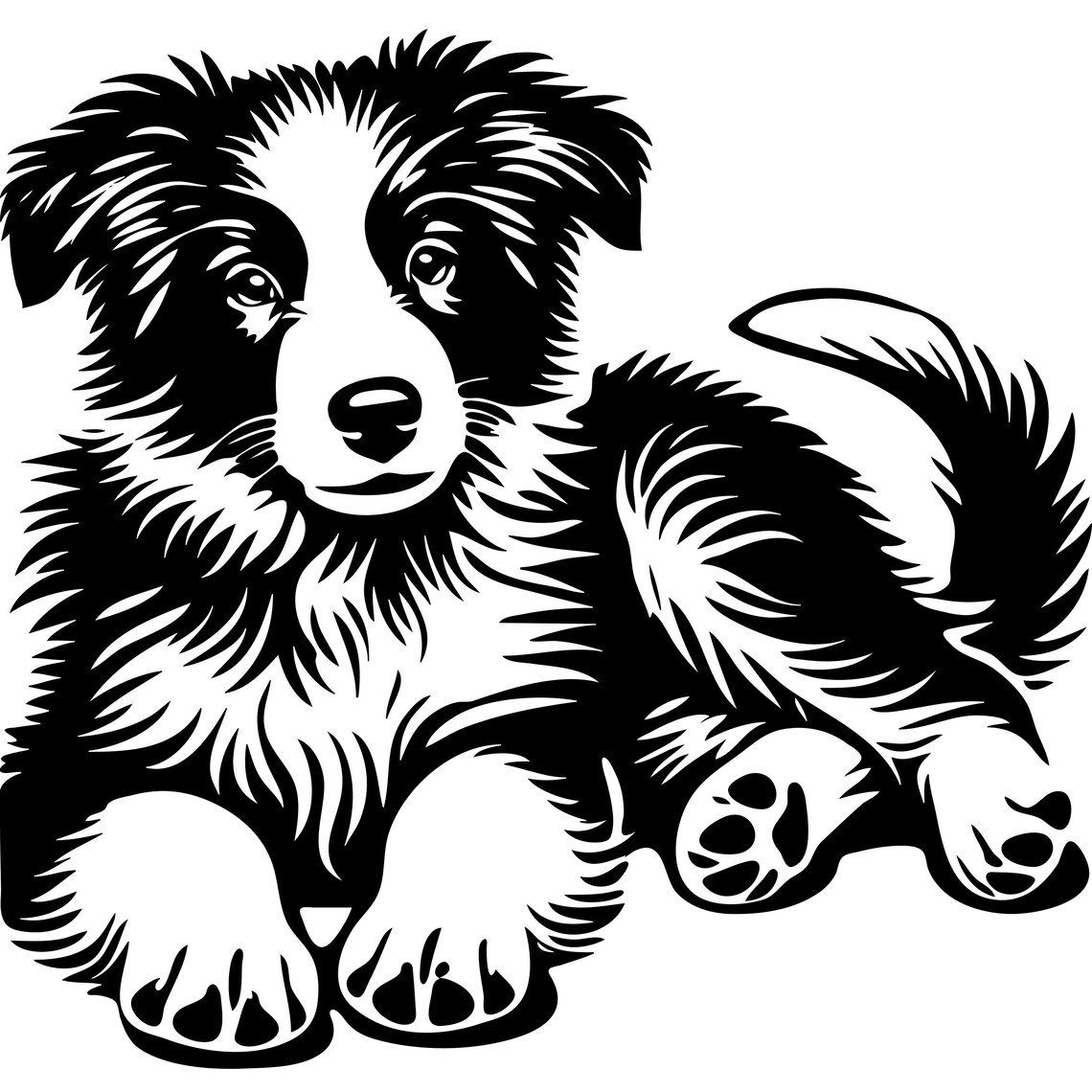Border Collie Svg and Png Files - Instant Digital Downloads - Etsy