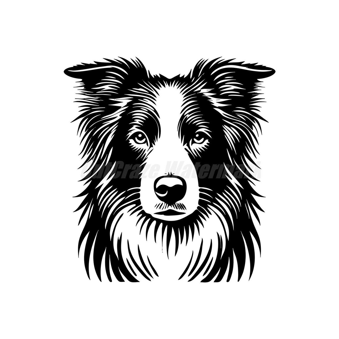 Vector Stencil Border Collie Svg Dxf and Png Files - Instant Digital ...