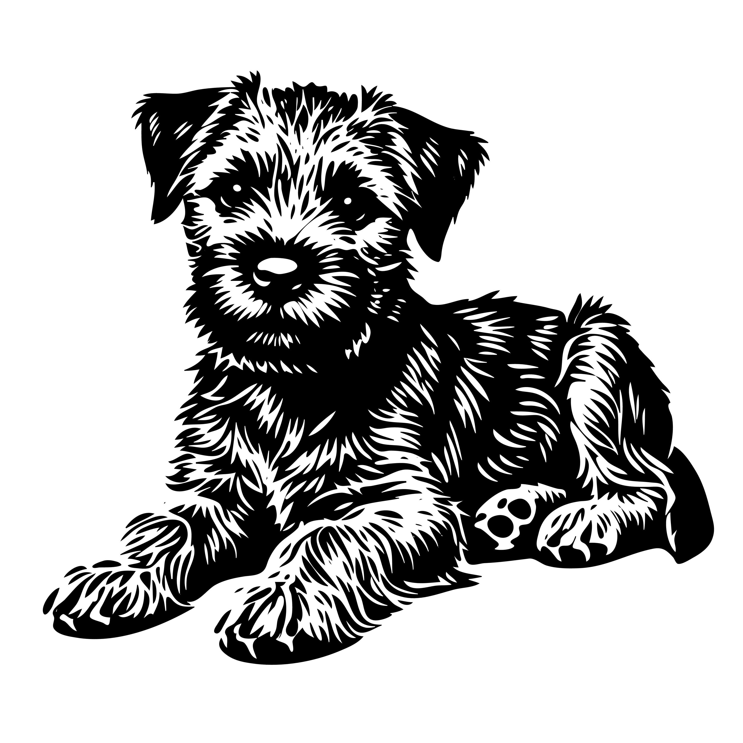 Border Terrier Svg and Png Files - Instant Digital Downloads - Etsy